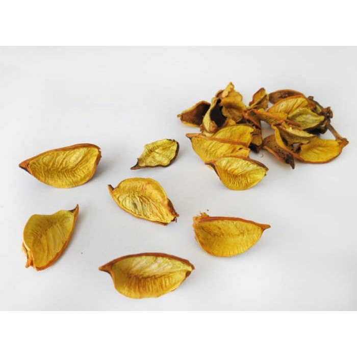 Gül Yaprağı Naturel Kokulu SARI - KidsPartim | Parti Malzemeleri ve ...